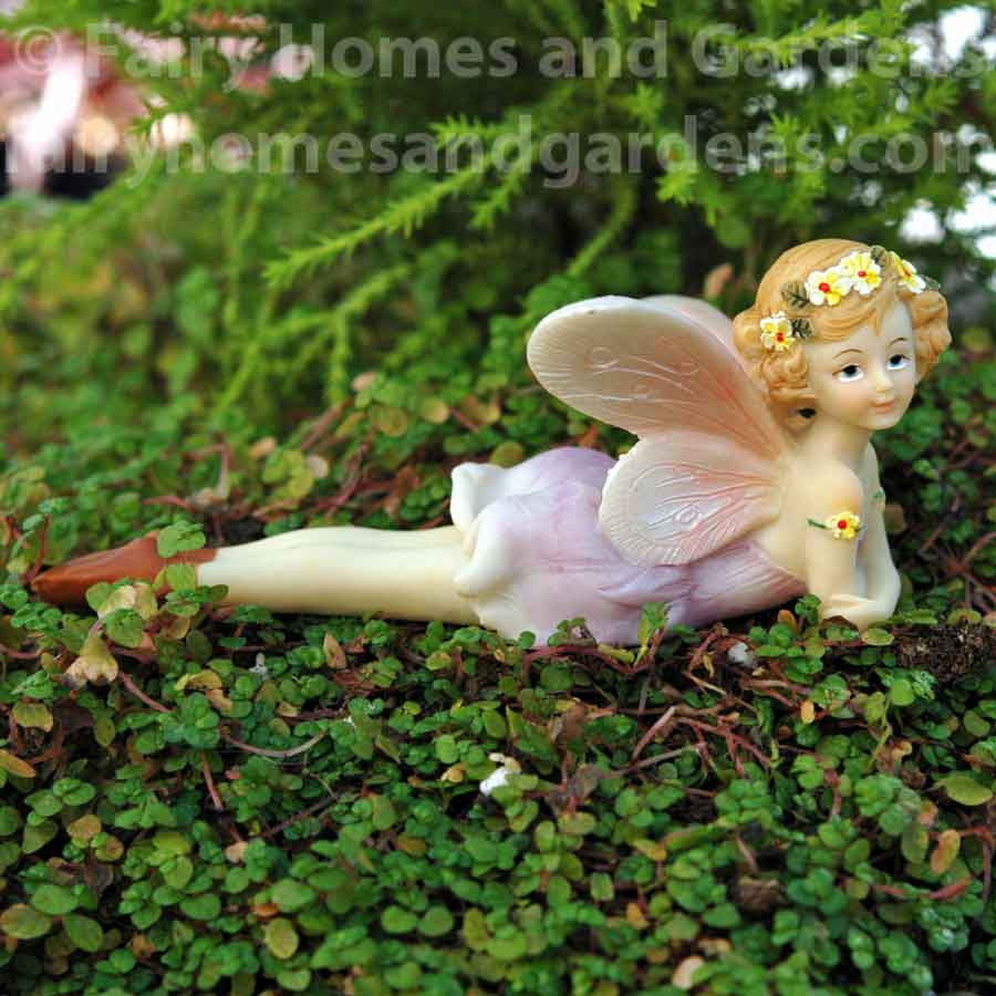 Top Collection Flower Fairies | Miniature Fairy Collectibles | Fairy ...