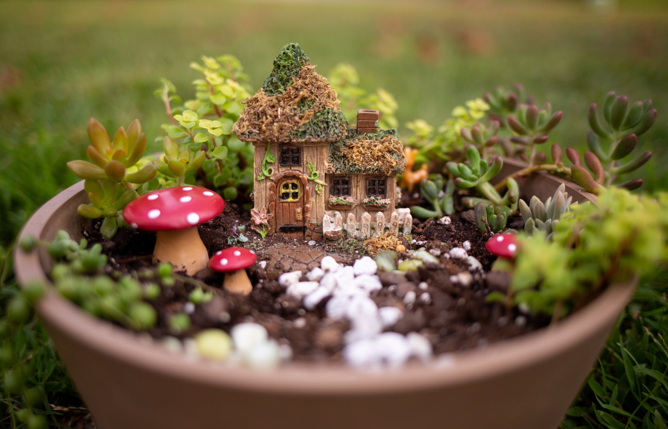 Fairy Homes and Gardens | Miniature Fairies, Houses, Accessories ...