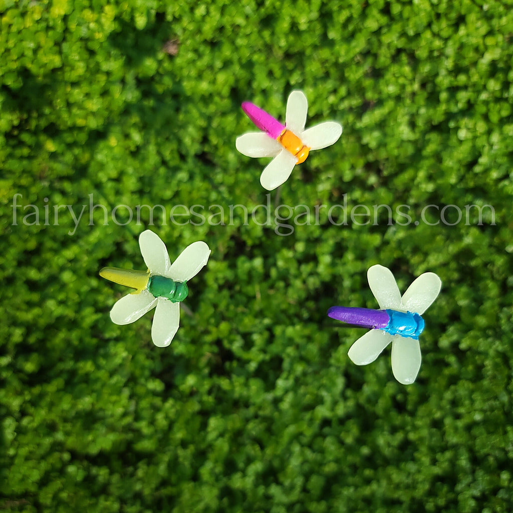 Miniature Glow in the Dark Dragonflies Set of Three – Fairy Homes & Gardens
